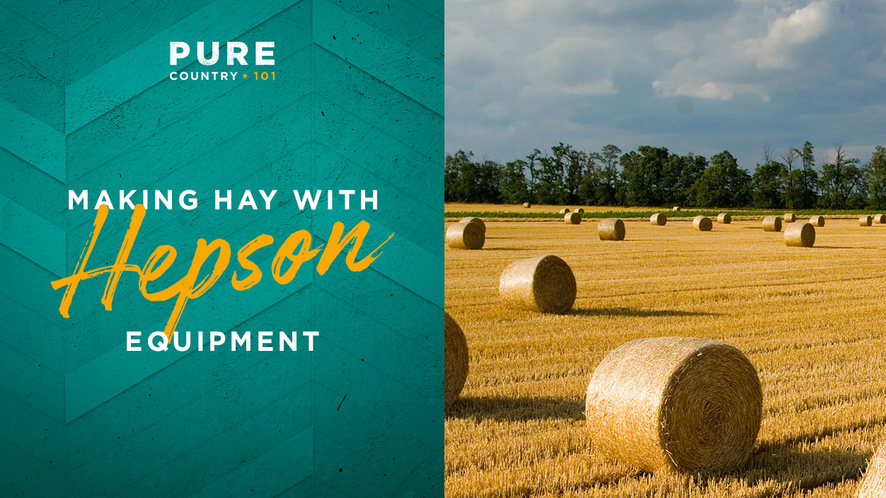 Making Hay With Hepson