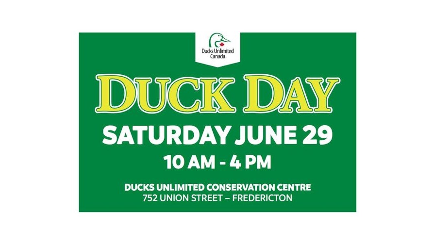 Duck Day 2024