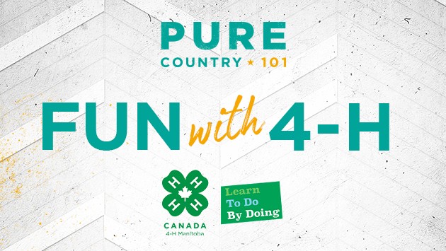 Brandon's Pure Country 101 | Today's Best in Country | iHeartRadio